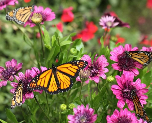 Blog - New Hope Counseling